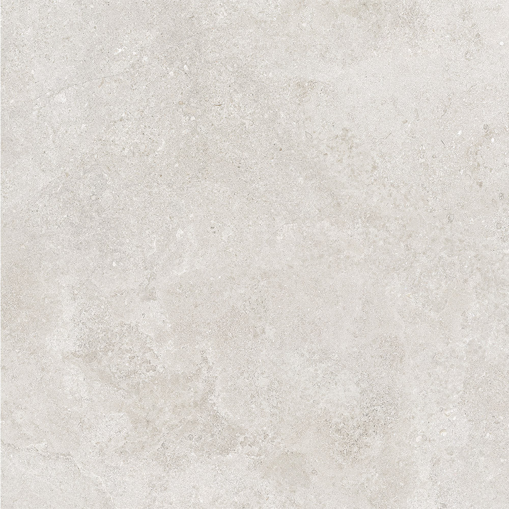 BORGOGNA WHITE PORCELAIN – Graystone Tile & Design Studio