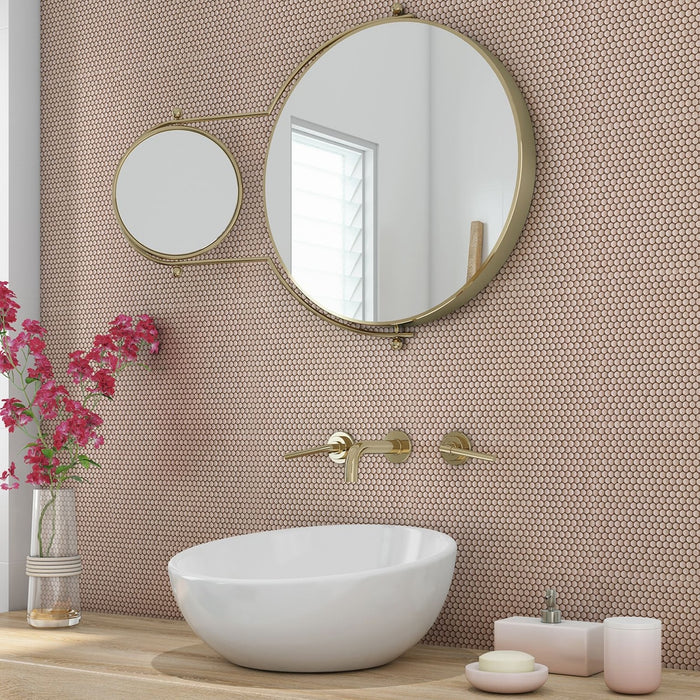 Flamingo Matte & Gloss Mini Penny Round Porcelain Mosaic — Graystone ...