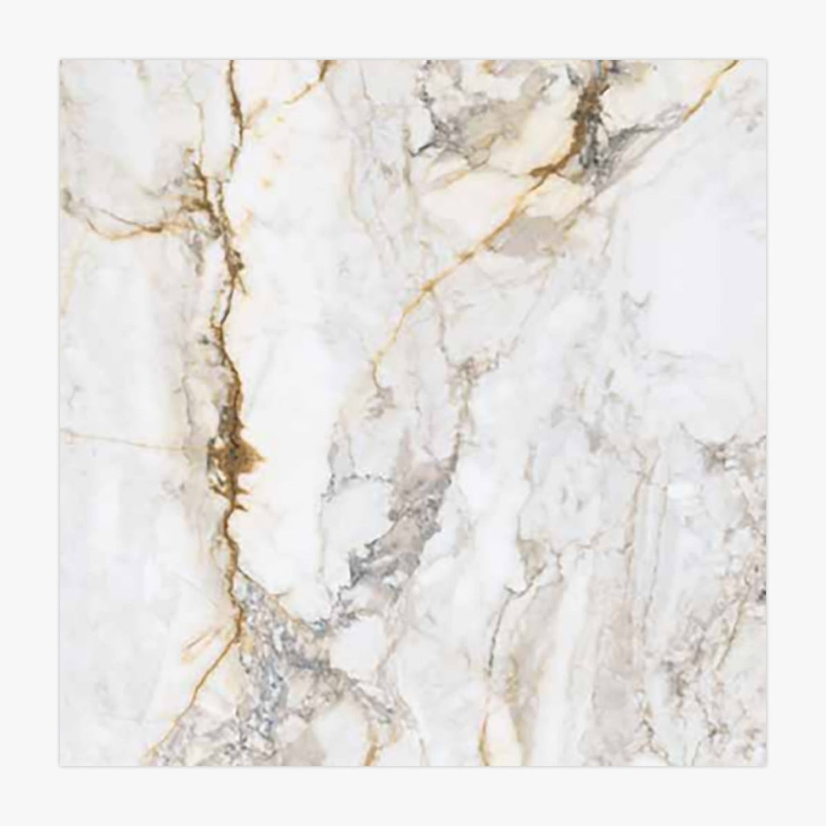 Pisa Gold Matte 600x600 Porcelain Tile — Graystone Tiles & Design Studio