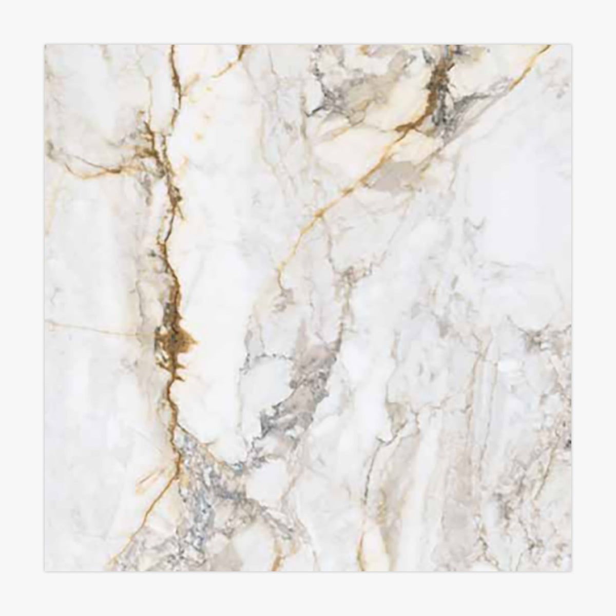 Pisa Gold Matte 600x600 Porcelain Tile — Graystone Tiles & Design Studio