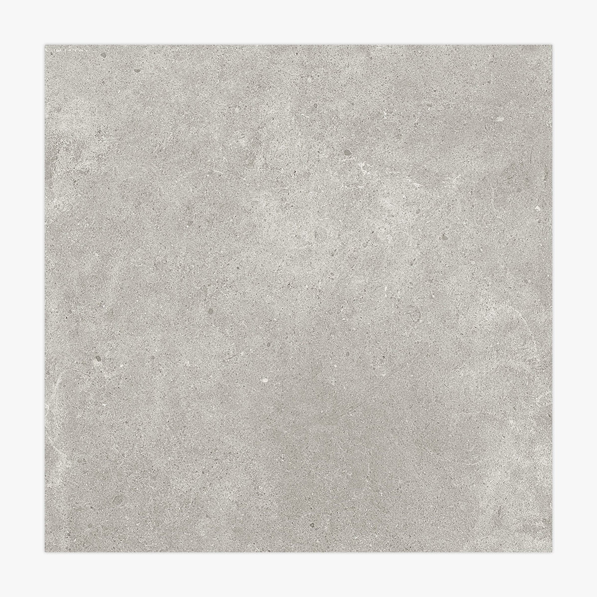 Paragon Tortora Matte 600x600 Porcelain Tile — Graystone Tiles & Design ...