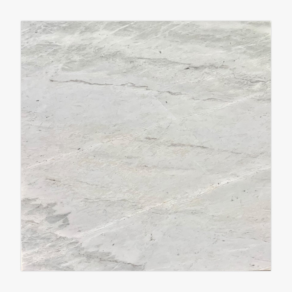 Rustica Dolomite Honed 610x610 Marble Tile — Graystone Tiles & Design ...