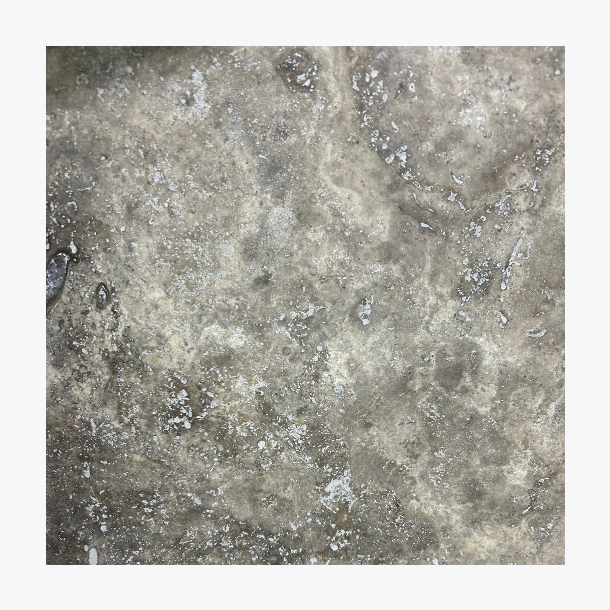 Silver Honed 610x610 Travertine Tile — Graystone Tiles & Design Studio
